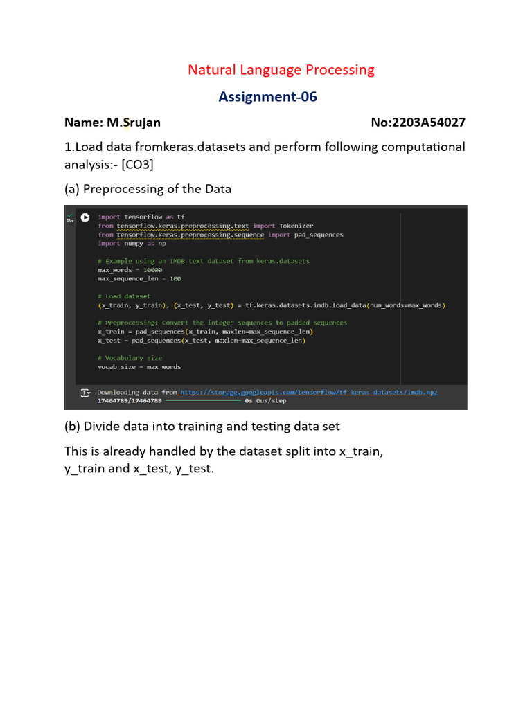 NLP Assignment 6 Edited | PDF