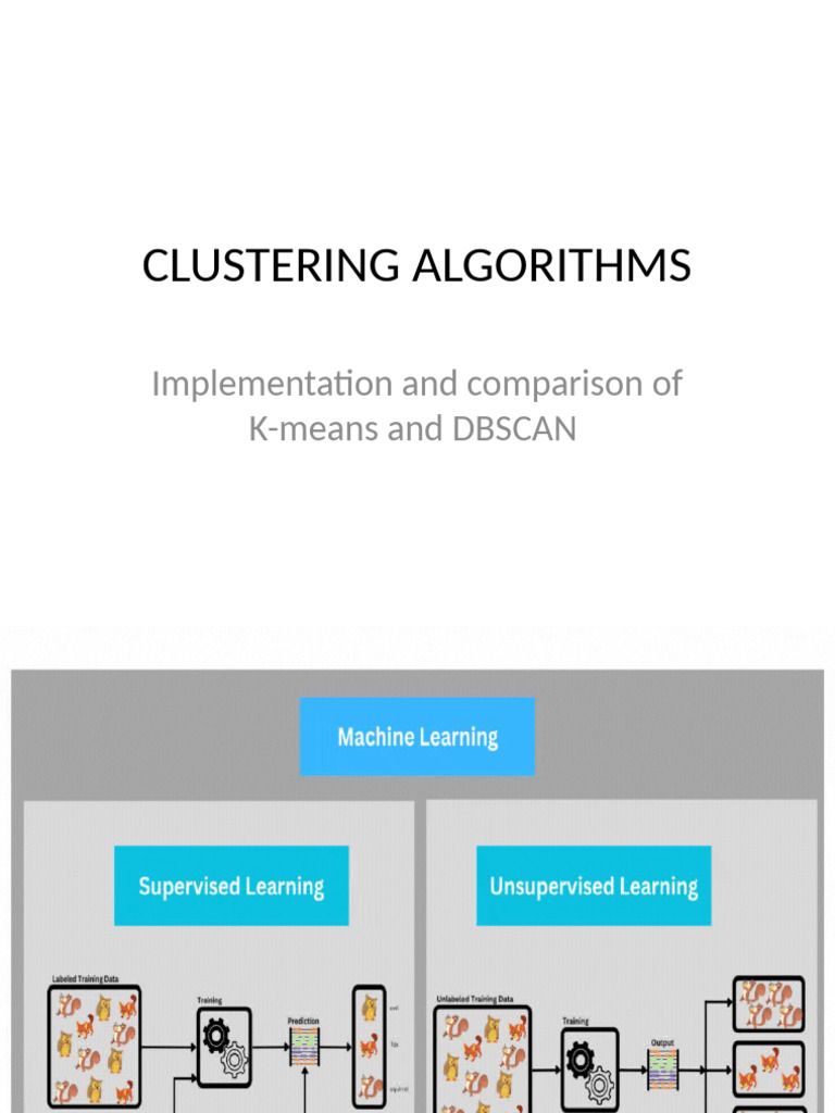 Clustering Algorithms1 | PDF | Teaching Methods & Materials | Computers