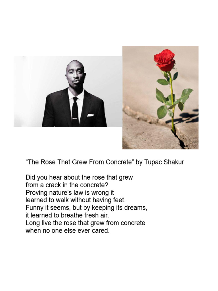 Tupac Poem | PDF