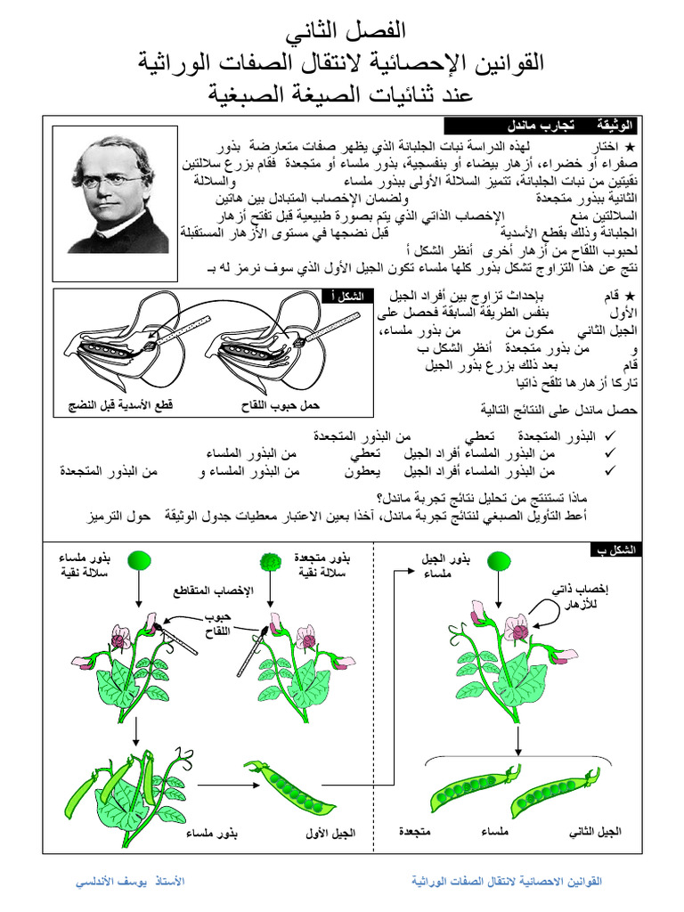 Docs Unité 3 Chap 2 | PDF