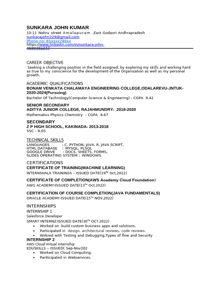 RESUME SAMPLE Traditional | PDF | Software Engineering | Computer Programming