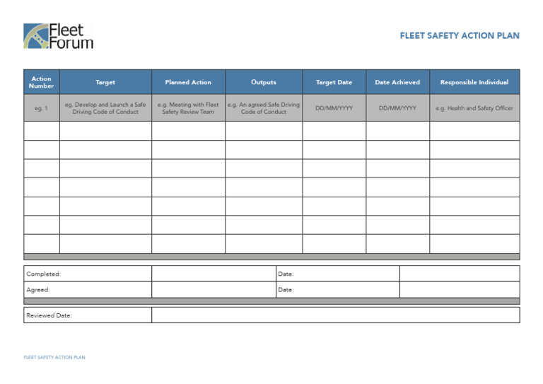 Fleet Safety Action Plan Overview | PDF | Business | Computers