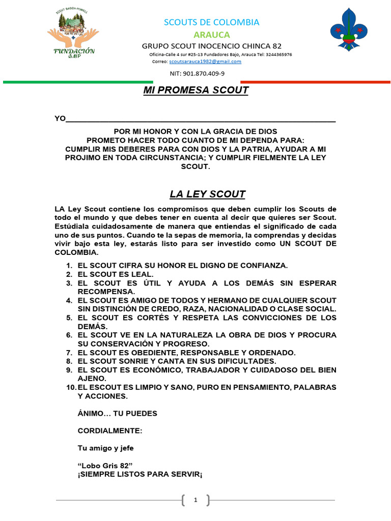 Promesa y Ley Scout | PDF