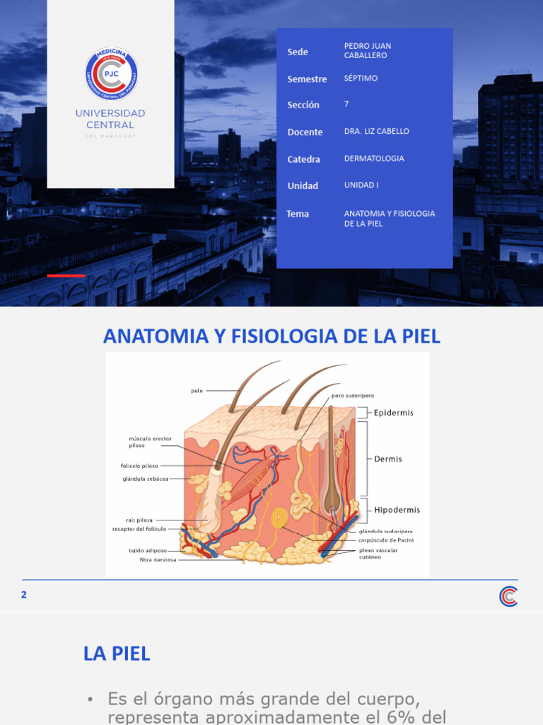 1 - Anatomía y Fisiología de La Piel | PDF | Epidermis | Piel