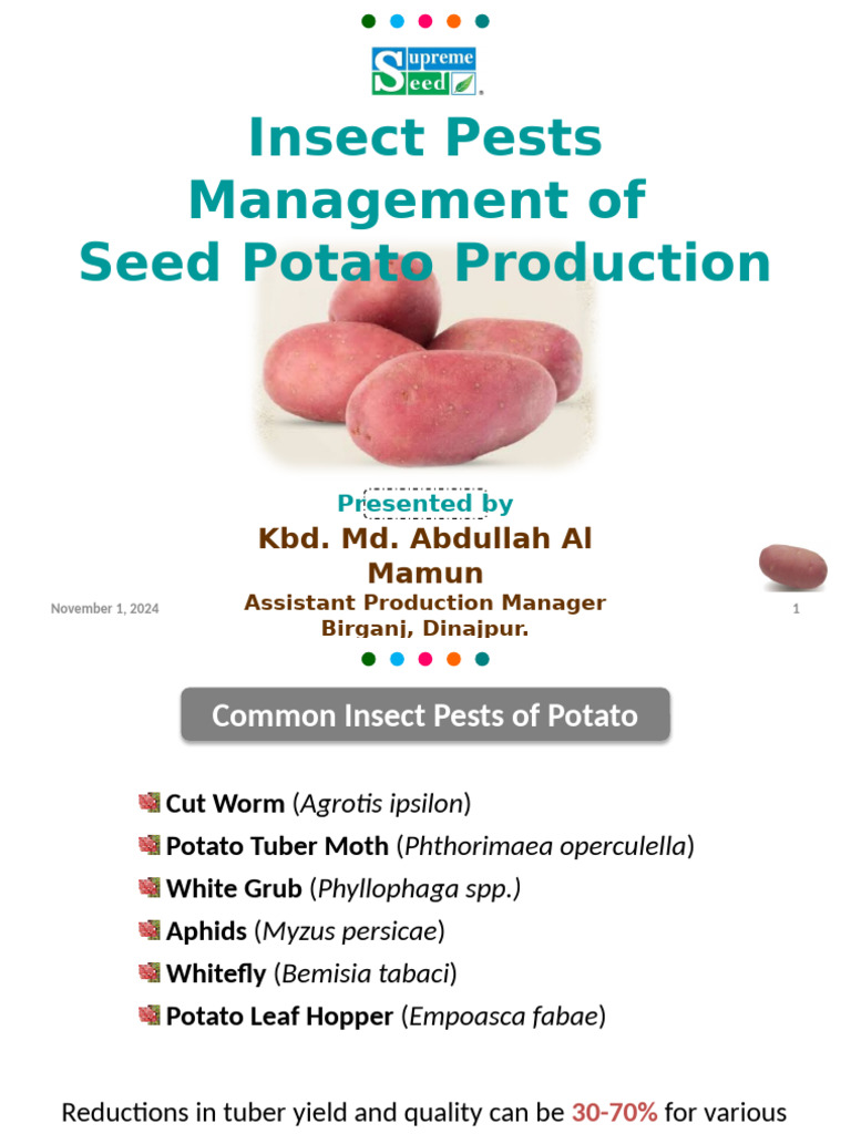 Insect Pest Management for Potatoes | PDF | Pest (Organism) | Insects ...