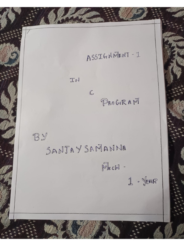 C.program Assignment | PDF