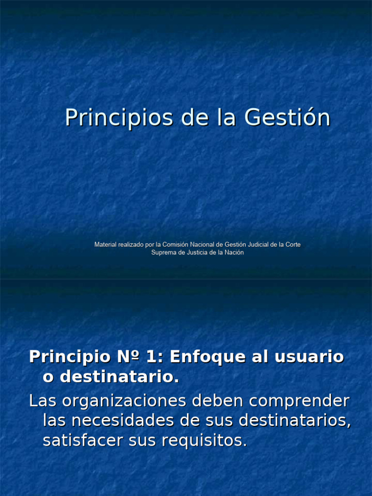 Principios de La Gestion CSJN | PDF