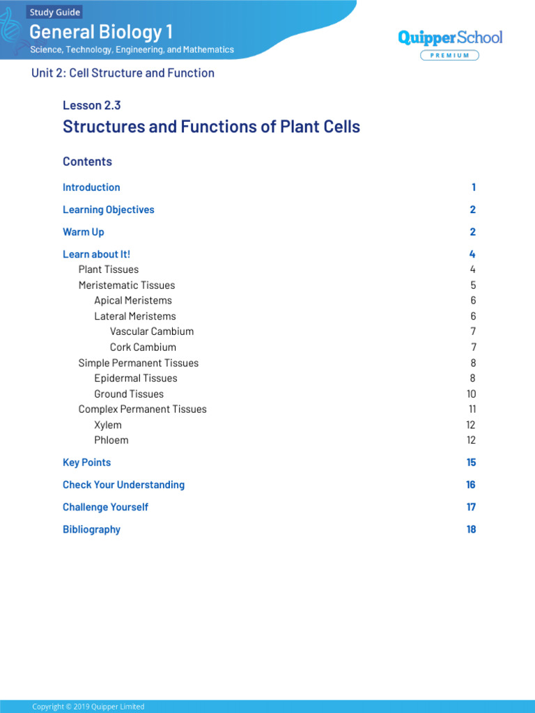 Bio1 Unit 2 Lesson 3 | PDF | Tissue (Biology) | Plant Stem