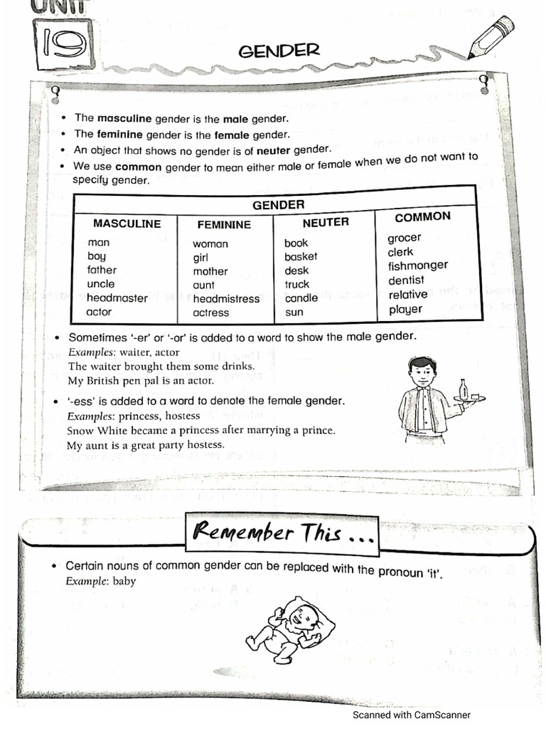 GRAMMAR. Gender Year 6. 2021 | PDF