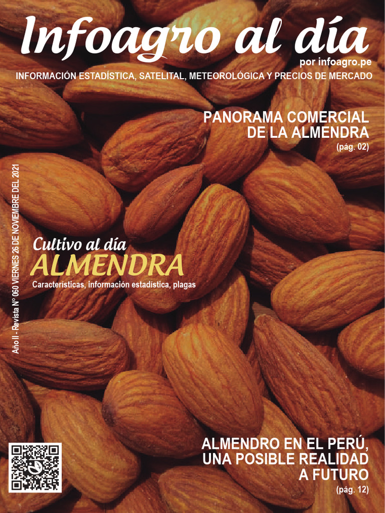 InfoAgro Al Día - ALMENDRAS | PDF | Almendra | Agricultura