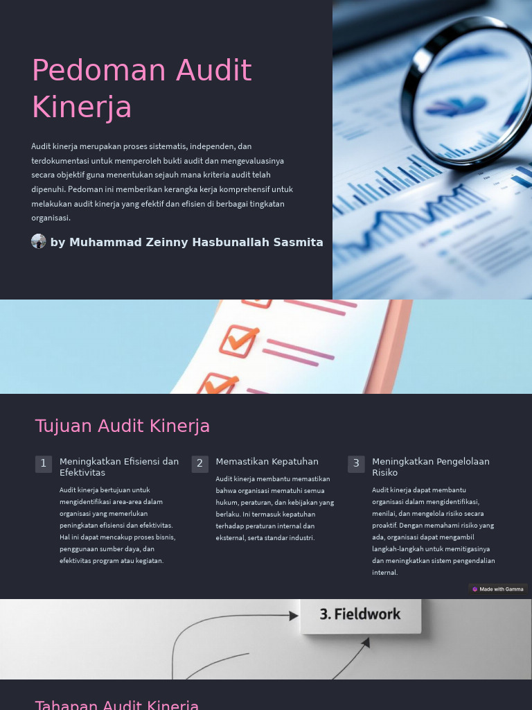 Pedoman Audit Kinerja | PDF