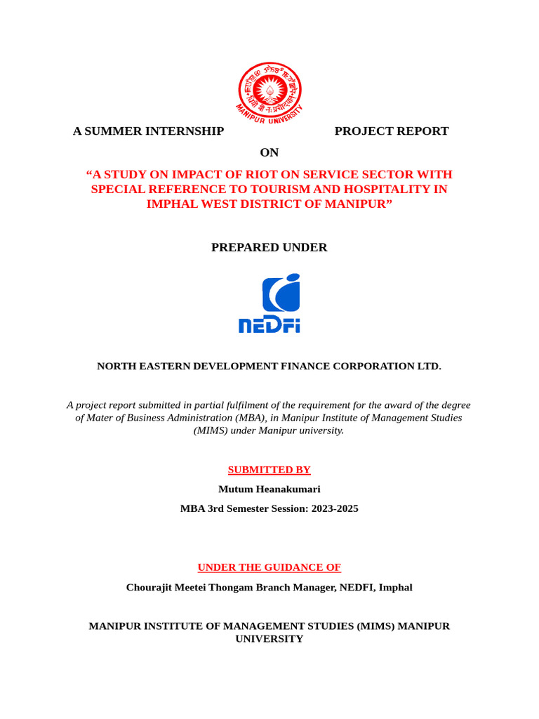 A Summer Internship Project Report New New | PDF | Tourism | Debt