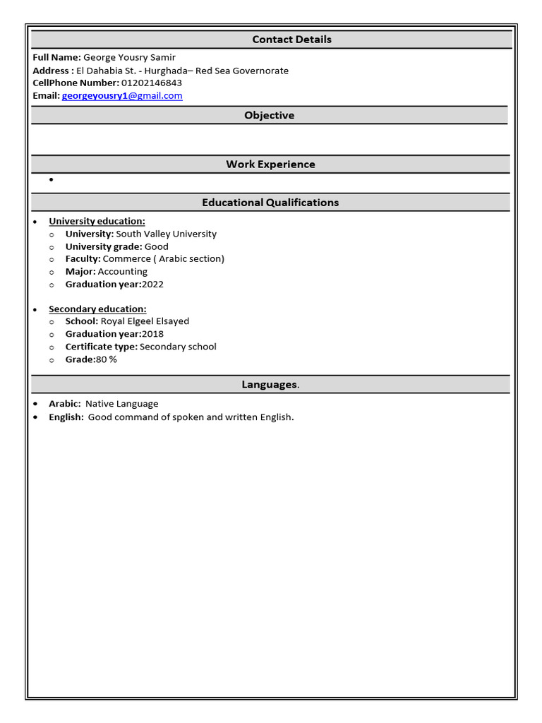 George Yousry Samir CV | PDF | Career & Growth