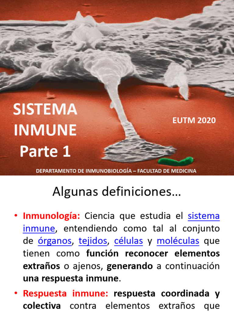 EUTM - Inmunología Clase 1 - 2024 | PDF | Sistema inmune | Sistema inmune innato