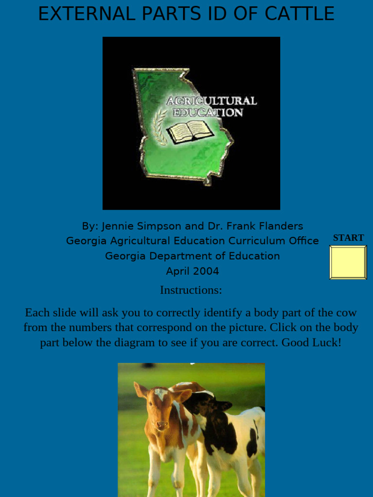 External Parts of A Cow Interactive Practice | PDF | Foot | Horses