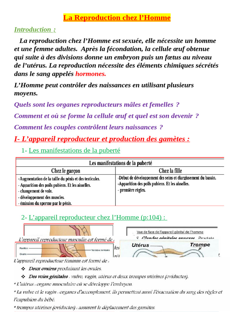 La Reproduction Humaine | PDF | Cycle menstruel | Progestérone