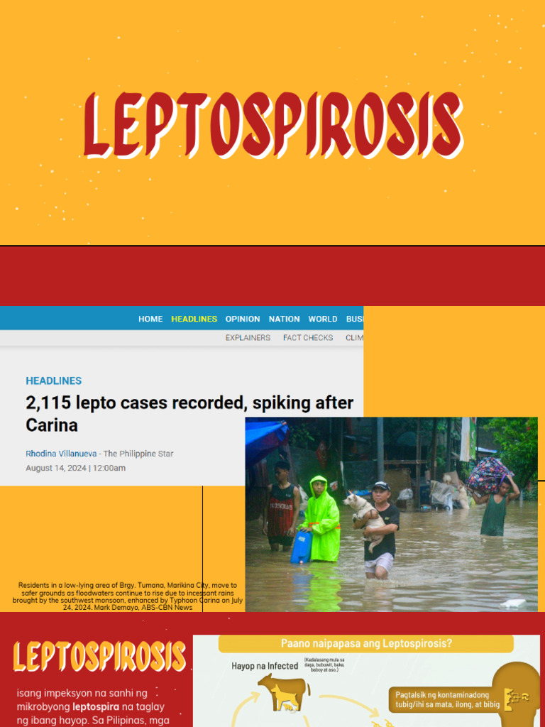 Leptospirosis | PDF