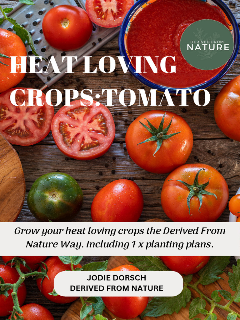 Free Tomato Guide | PDF | Tomato | Seedling