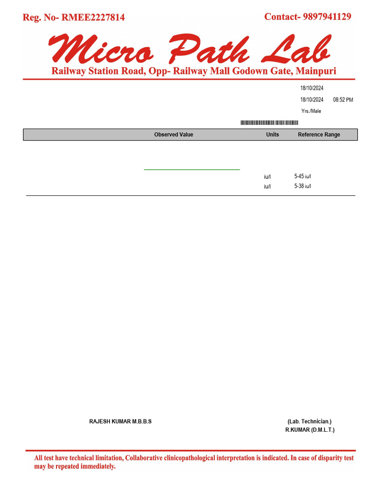 Avnish Mishra 2024101847 | PDF