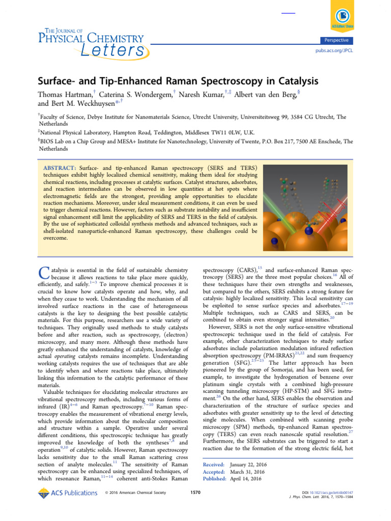 Surface - and Tip-Enhanced Raman Spectroscopy in Catalysis | PDF ...