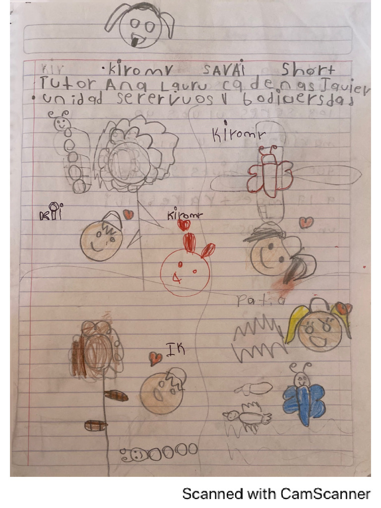 RPA Del Alumno Kiromy | PDF