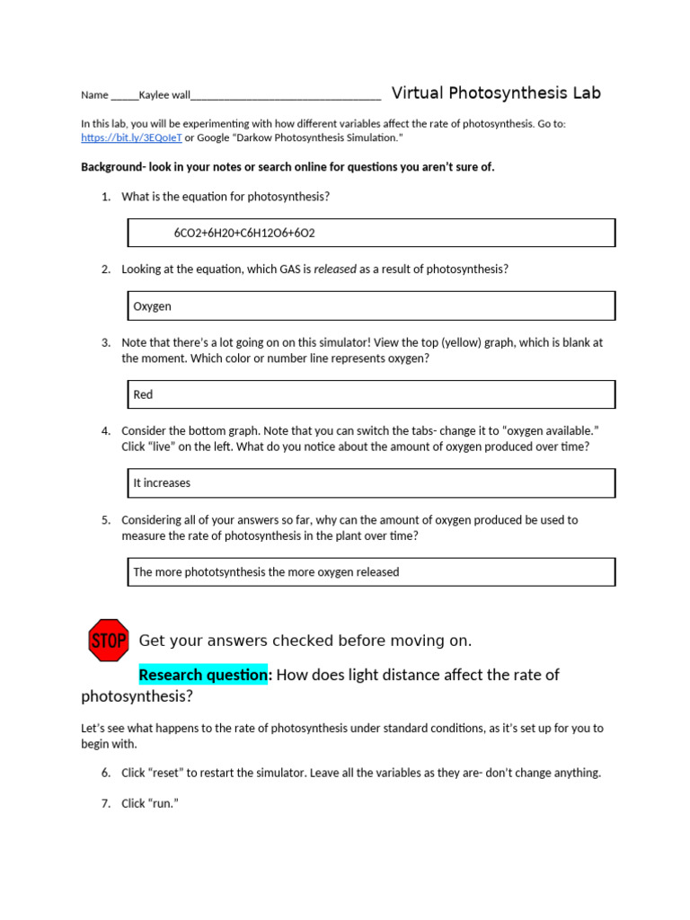 Virtual Photosynthesis Lab | PDF | Photosynthesis | Experiment