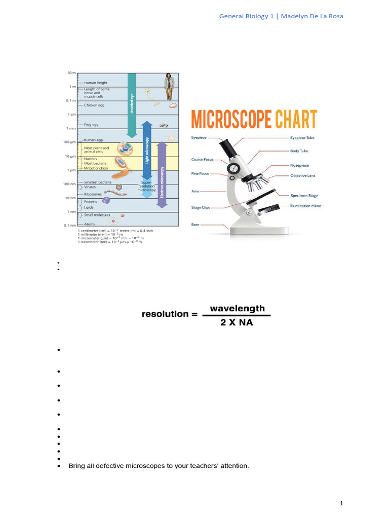 Lesson 1 Microscopy Hand Out | PDF | Microscope | Equipment