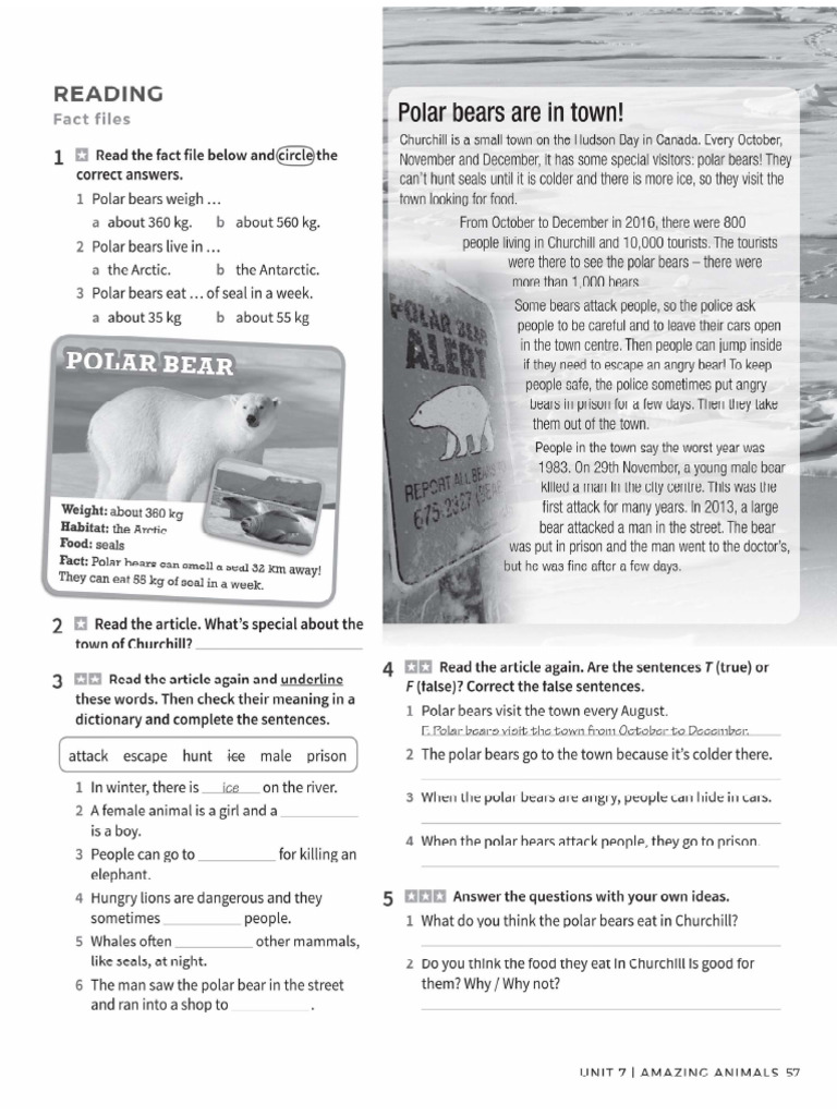 Reading 4to2da | PDF