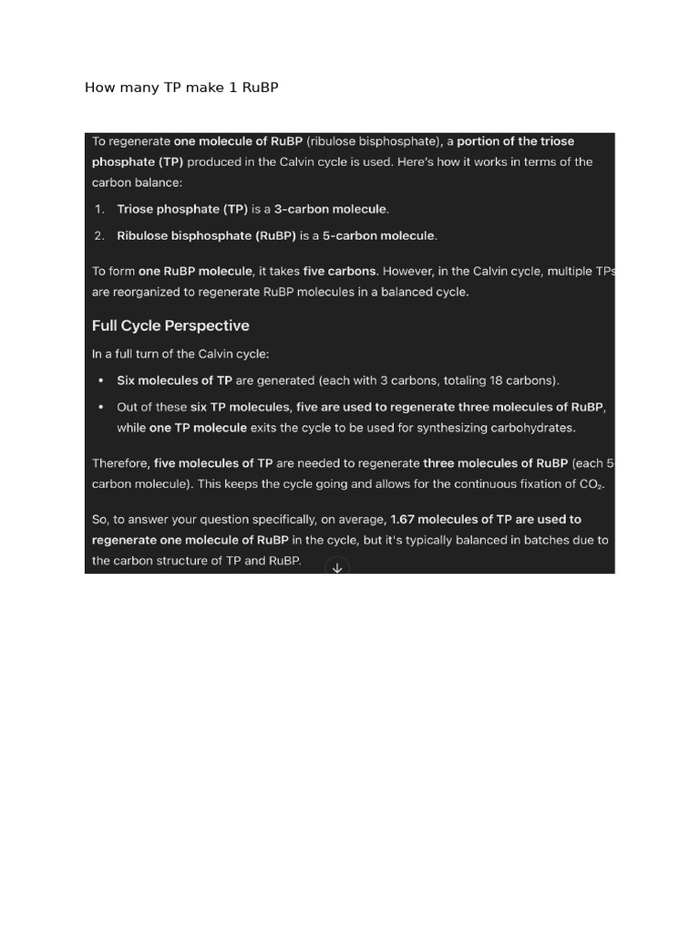 How Many TP Make 1 RuBP | PDF