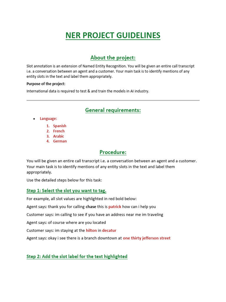 Ner Project Guidelines | PDF | Identity Document | Credit Card