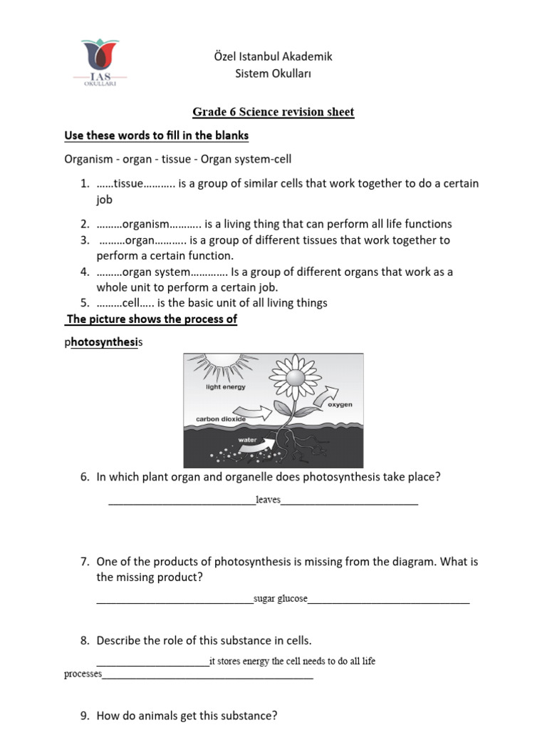 Grade 6 Science Body Organization Levels Pdf Tissue Biology Leaf