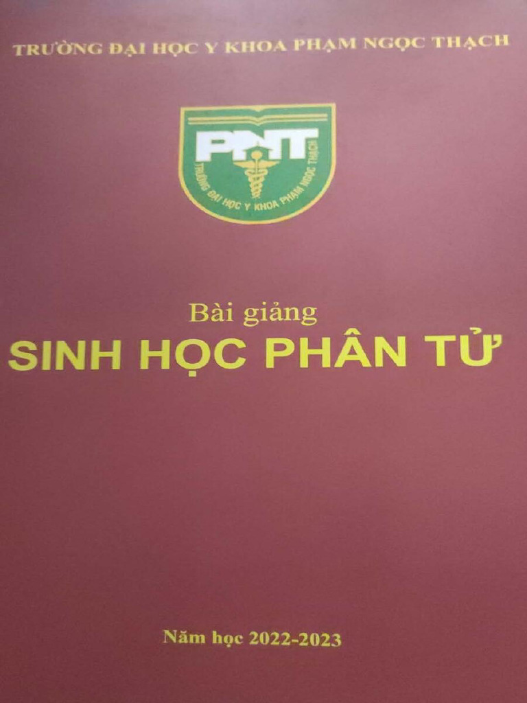 SHPT PNT 2020 Compress 2 | PDF