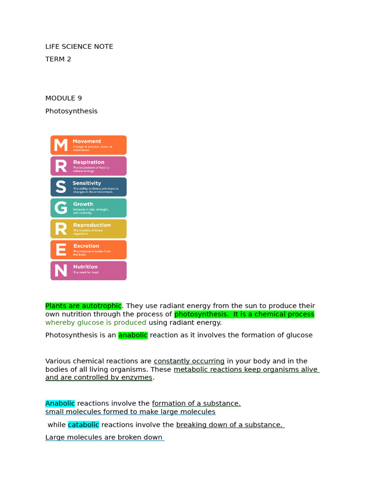 Life Science Term 2 | PDF | Cellular Respiration | Biochemistry