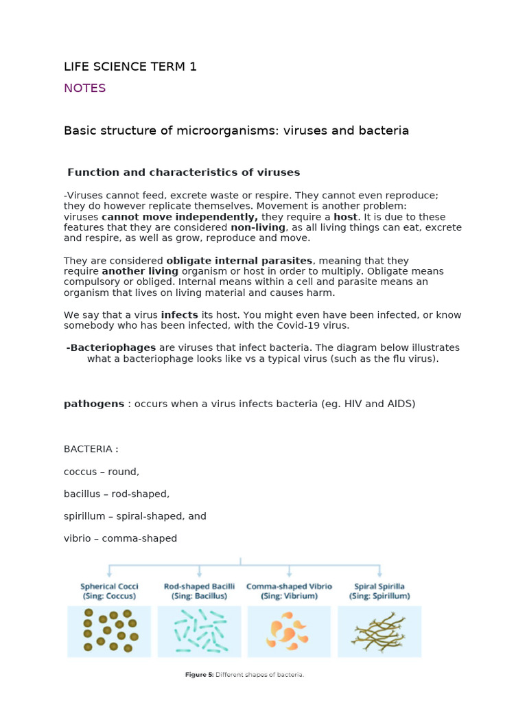 LIFE SCIENCE TERM 1 (AutoRecovered) | PDF | Sexual Reproduction | Flowers