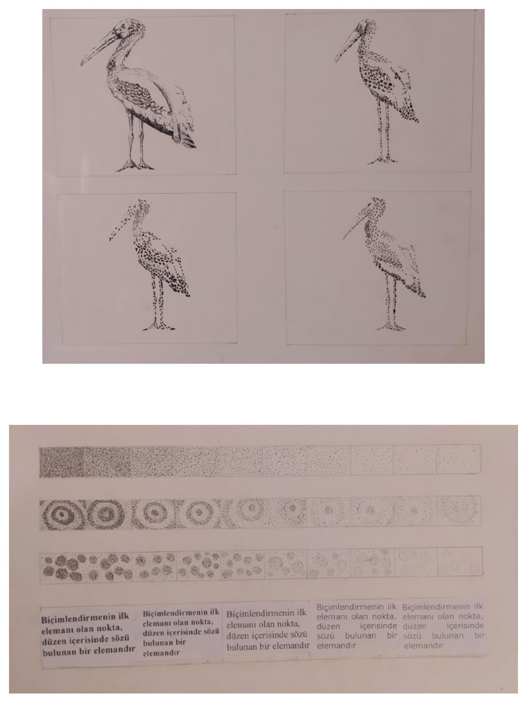 Img 0696 Pdf