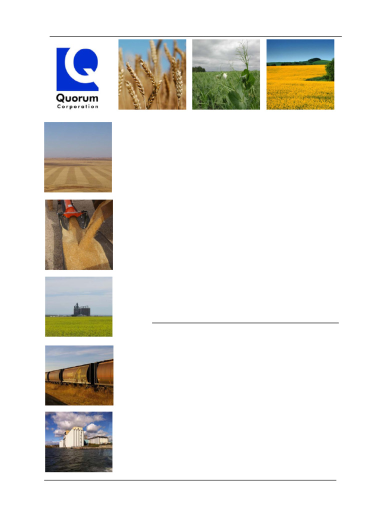 Grain Supply Chain Study - Report | PDF | Supply Chain | Rail Transport
