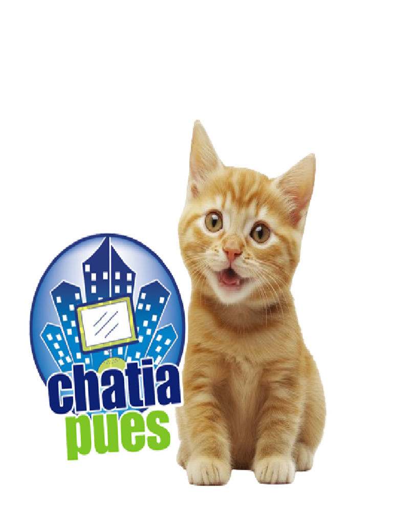 Gatito | PDF
