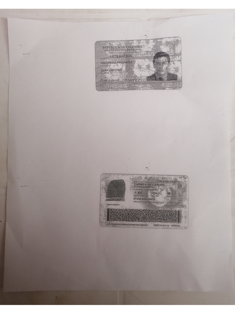 Juan Libardo Fresneda Fresneda | PDF