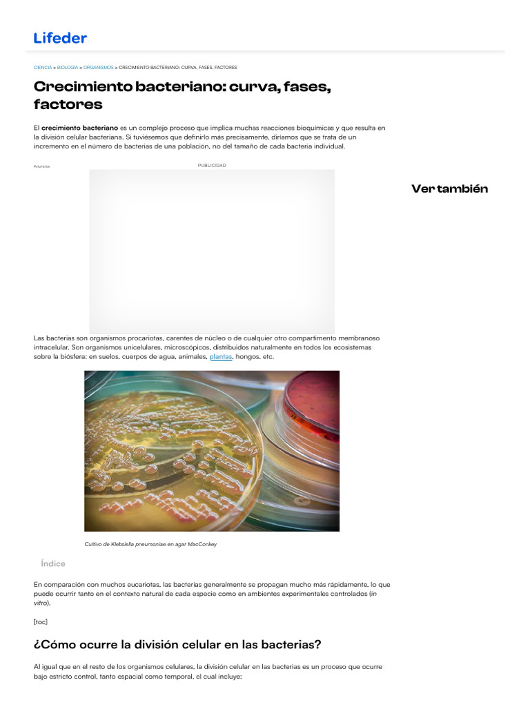 Fases del Crecimiento Bacteriano | PDF | Las bacterias | Biología Celular)