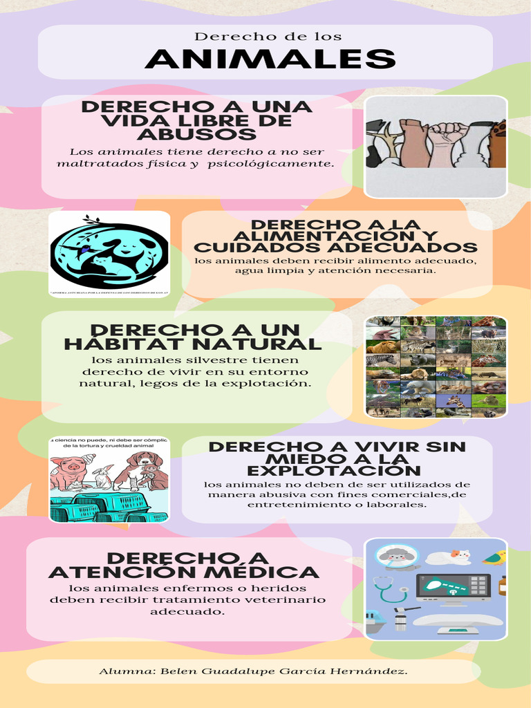 Derechos Fundamentales de los Animales | PDF | Salud y bienestar ...