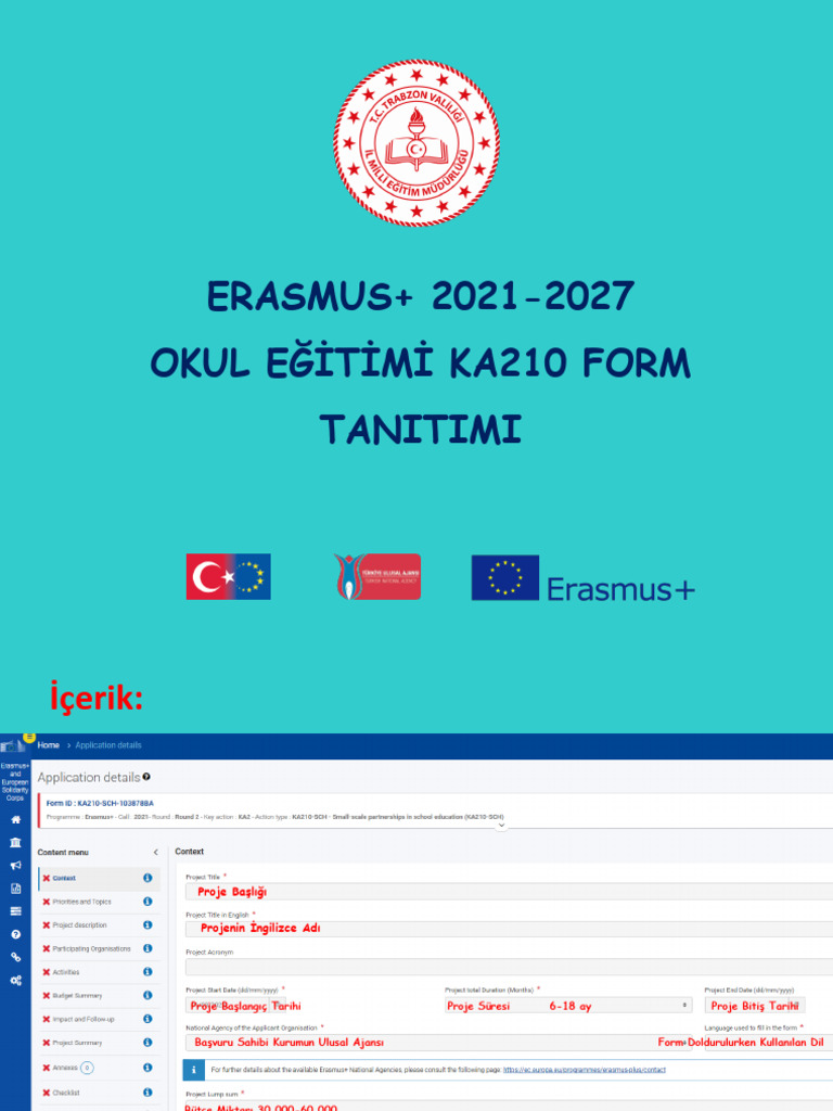 K 1 Form | PDF