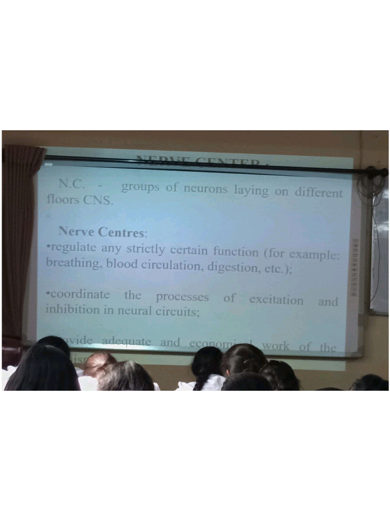Nerve Centre | PDF