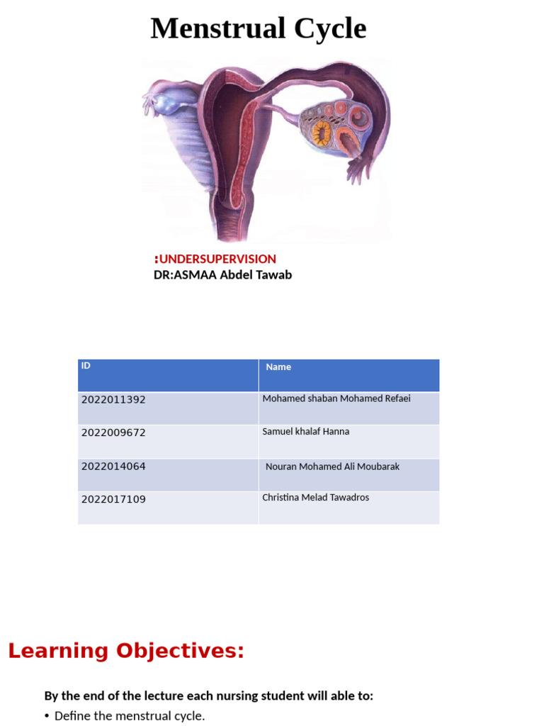 Menstrual Cycle | PDF | Menstrual Cycle | Ovary