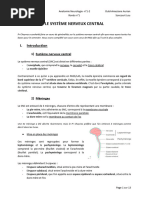 Rôle et anatomie du centre ovale cérébral | PDF | Cerveau | Cortex cérébral