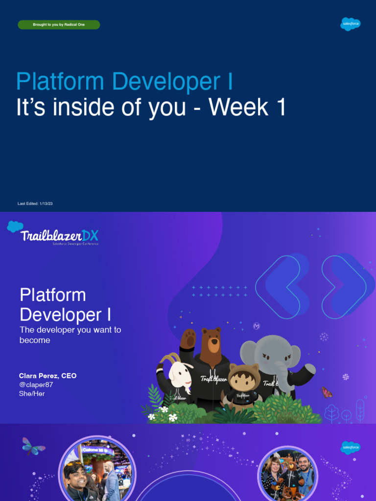Salesforcce - Diapositivas - Platform Developer Week 1 | PDF | Metadatos | Ingeniería de software