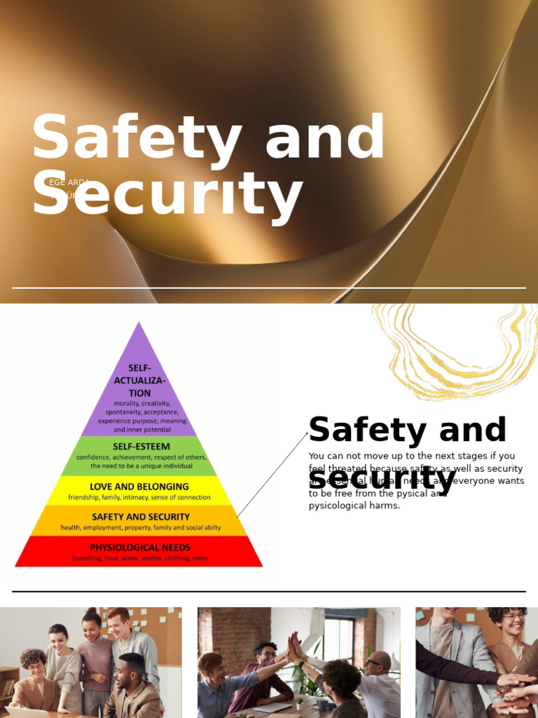 Safety Needs | PDF