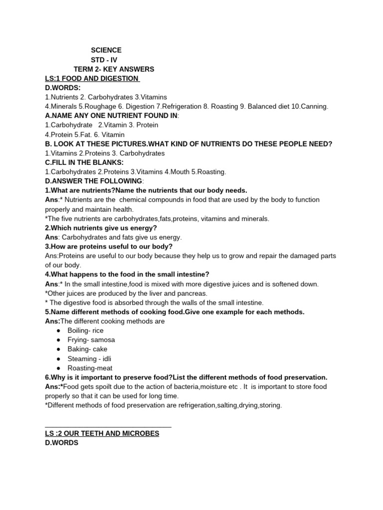 Term 2 Science Key std4 | PDF | Human Tooth | Water