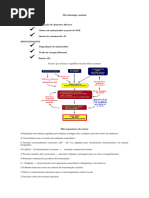 Mat. Estudos - Microbiota Ruminal - Nutrição de Ruminantes | PDF ...