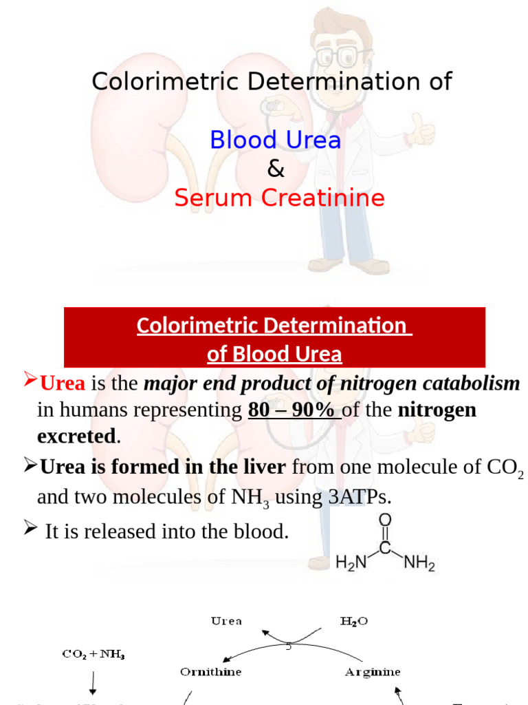 KFT Updated | PDF | Creatinine | Kidney