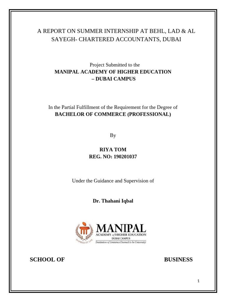 SAMPLE - Internship Report | PDF | Audit | Internal Control